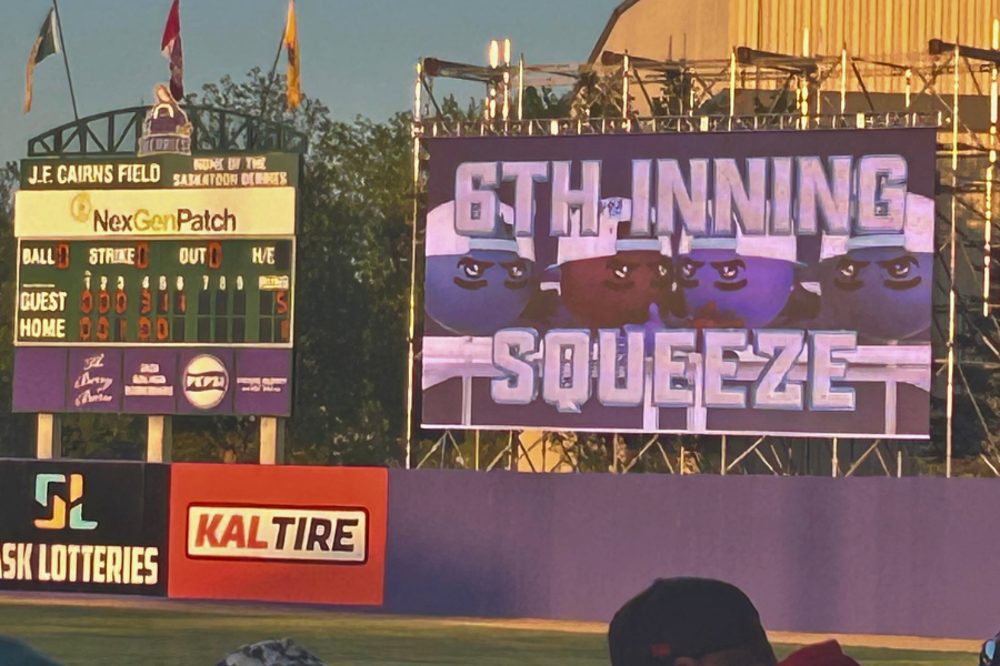 A "Berry" Helpful Guide to the Saskatoon Berries Baseball! | Discover ...