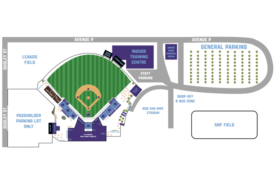 A "Berry" Helpful Guide to the Saskatoon Berries Baseball! | Discover ...