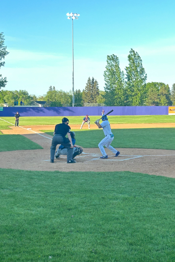 A "Berry" Helpful Guide to the Saskatoon Berries Baseball! | Discover ...