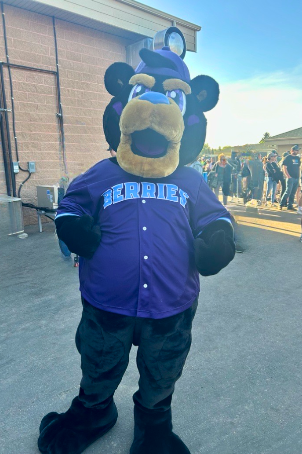 A "Berry" Helpful Guide to the Saskatoon Berries Baseball! | Discover ...