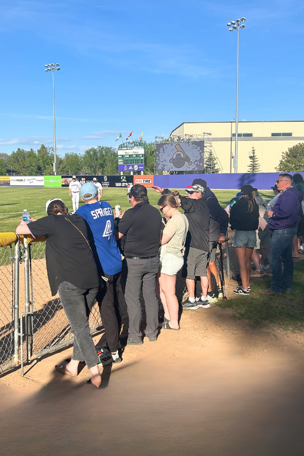 A "Berry" Helpful Guide to the Saskatoon Berries Baseball! | Discover ...