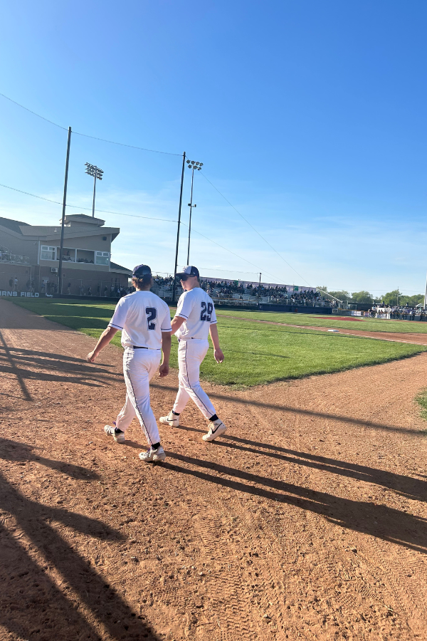 A "Berry" Helpful Guide to the Saskatoon Berries Baseball! | Discover ...