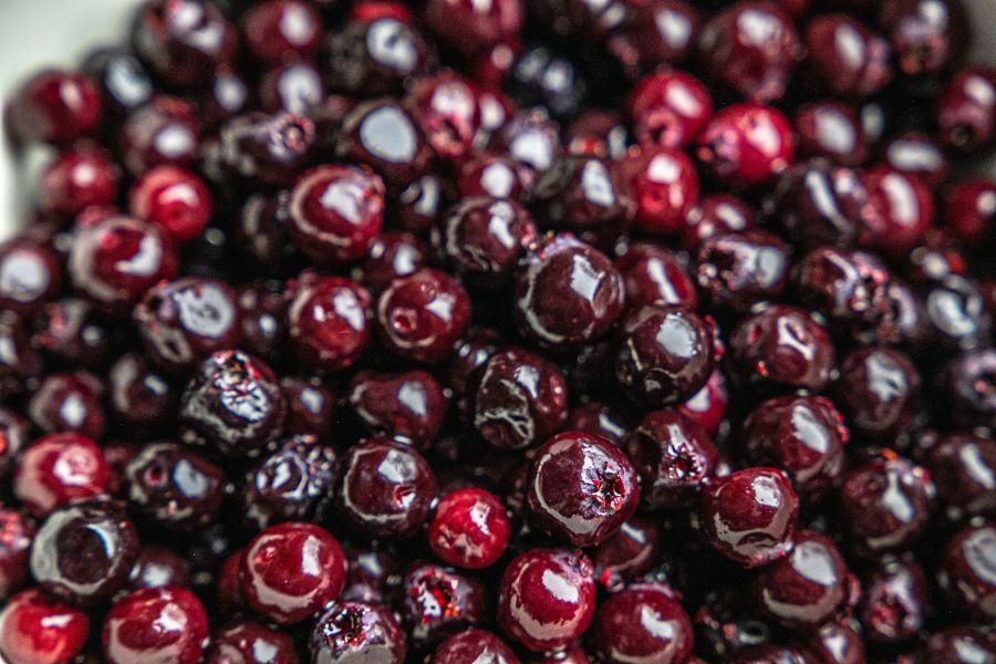 Saskatoon's Jewel: Exploring the Rich Flavour of Saskatoon Berries ...