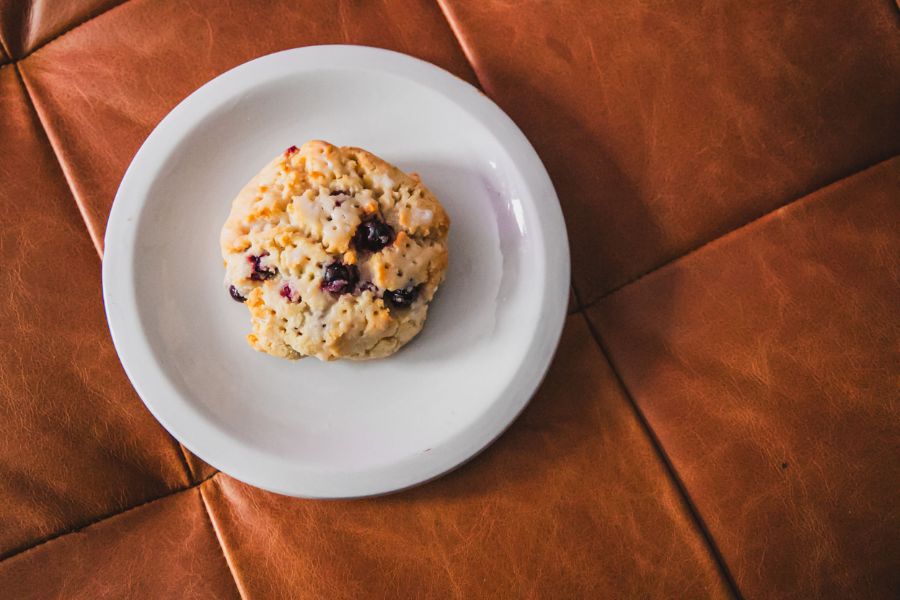 Saskatoon's Jewel: Exploring the Rich Flavour of Saskatoon Berries ...