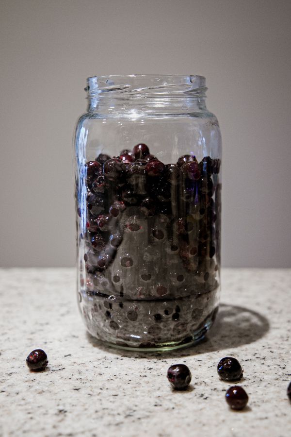 Saskatoon's Jewel: Exploring the Rich Flavour of Saskatoon Berries ...