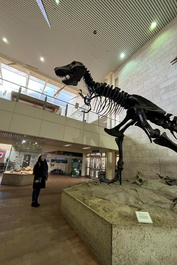 Explore the University of Saskatchewan with this Hidden Gems Itinerary ...