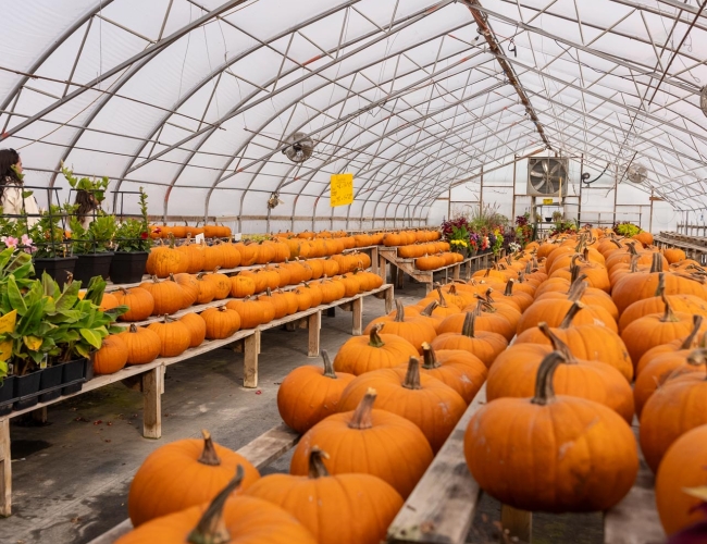The Berry Barn | Discover Saskatoon
