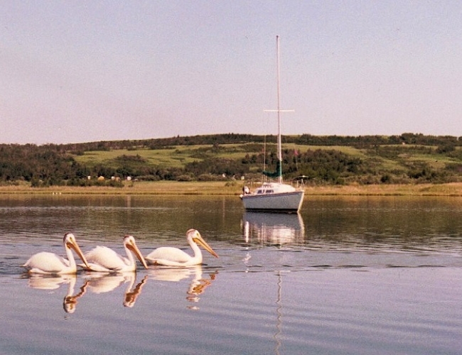 Redberry Lake Bird Sanctuary Tour | Discover Saskatoon