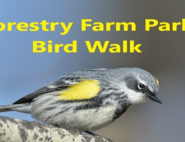 Forestry Farm Park Bird Walk | Discover Saskatoon