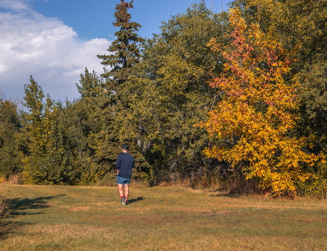 Most Instagrammable Spots for Capturing Fall Foliage in Saskatoon ...