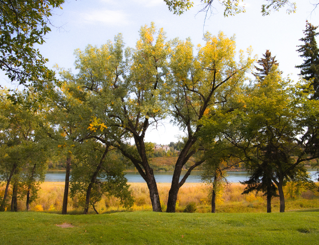 Most Instagrammable Spots for Capturing Fall Foliage in Saskatoon ...
