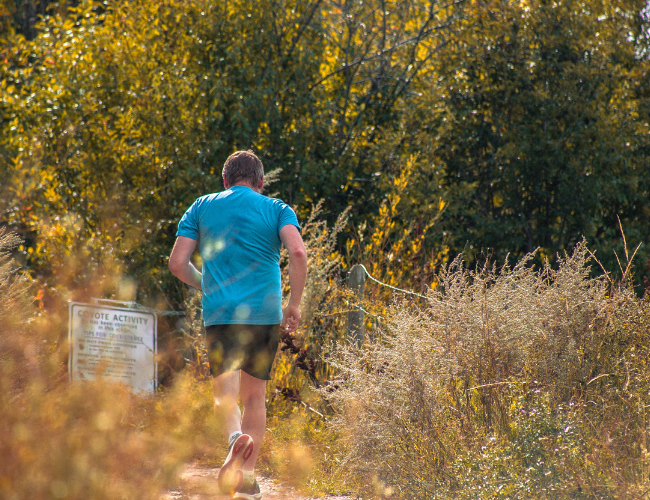 Most Instagrammable Spots for Capturing Fall Foliage in Saskatoon ...