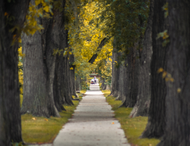 Most Instagrammable Spots for Capturing Fall Foliage in Saskatoon ...