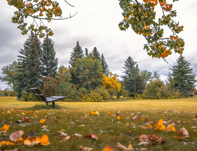 Most Instagrammable Spots for Capturing Fall Foliage in Saskatoon ...