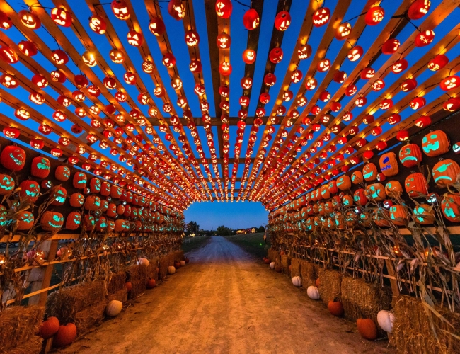 Discover Fall in Saskatoon | Discover Saskatoon