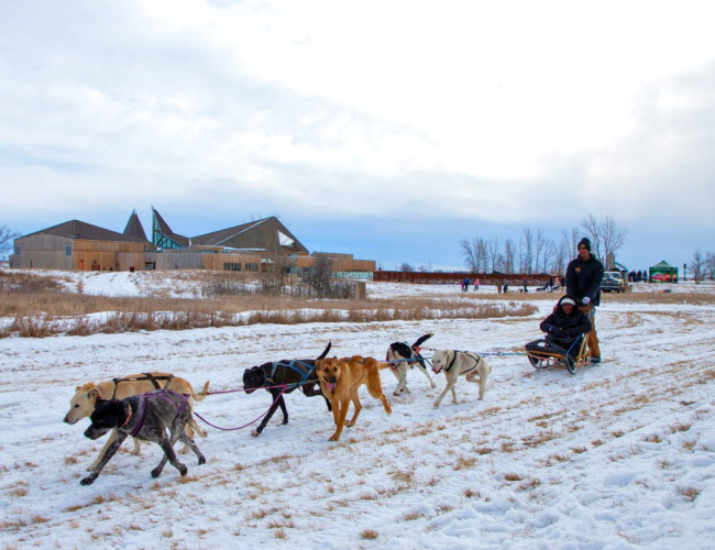 Saskatoon Events | Festivals, Concerts, Fairs, & Shows