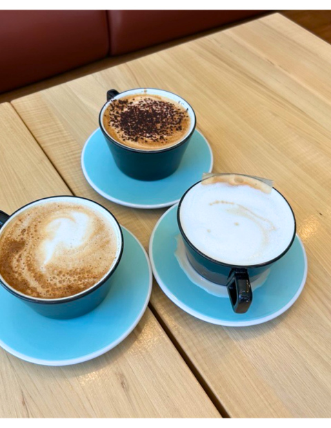 Discover Saskatoon - Hotels, Restaurants & Things To Do