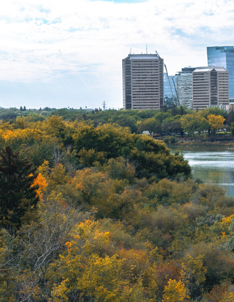 Discover Saskatoon - Hotels, Restaurants & Things To Do