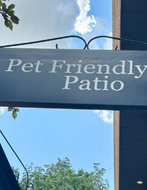 Experience Summer in Saskatoon: Festivals, Nature, and Fun