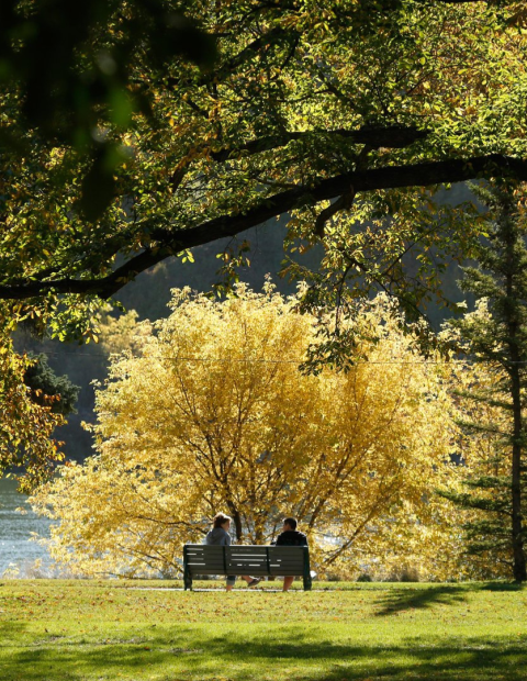 Most Instagrammable Spots for Capturing Fall Foliage in Saskatoon ...