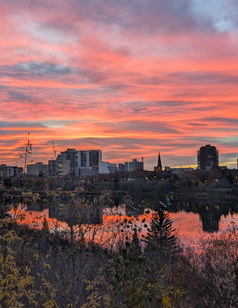 Most Instagrammable Spots for Capturing Fall Foliage in Saskatoon ...