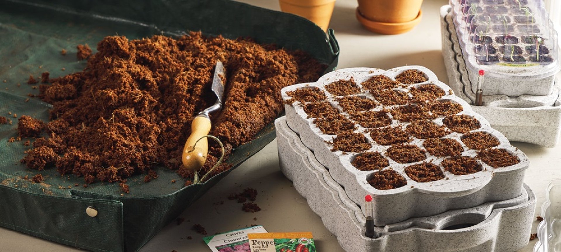 Seed Starting Workshop | Discover Saskatoon