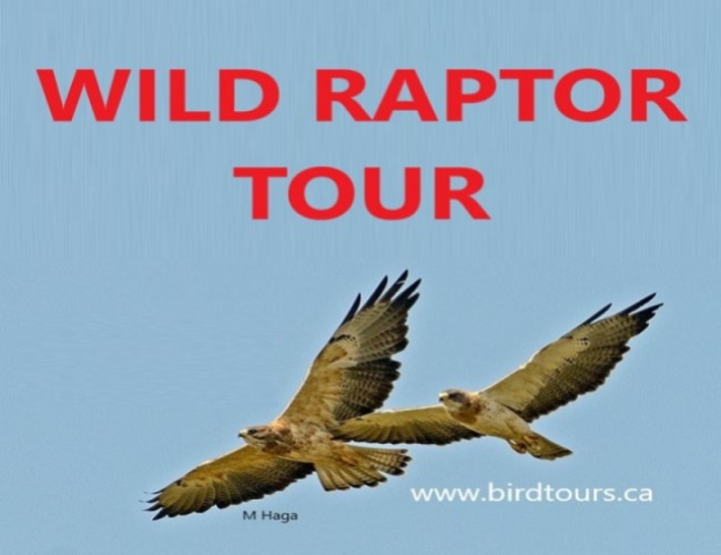 Wild Raptor Tour | Discover Saskatoon