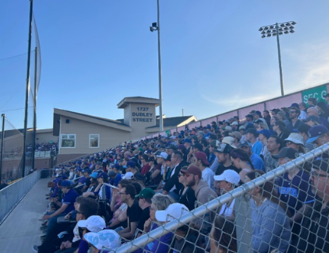 A "Berry" Helpful Guide to the Saskatoon Berries Baseball! | Discover ...