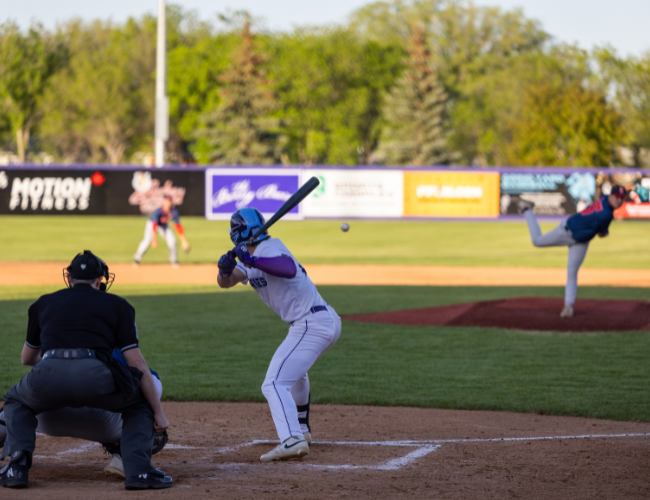 A "Berry" Helpful Guide to the Saskatoon Berries Baseball! | Discover ...