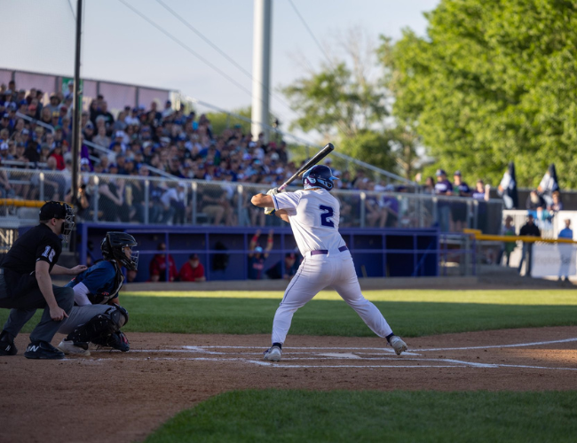A "Berry" Helpful Guide to the Saskatoon Berries Baseball! | Discover ...